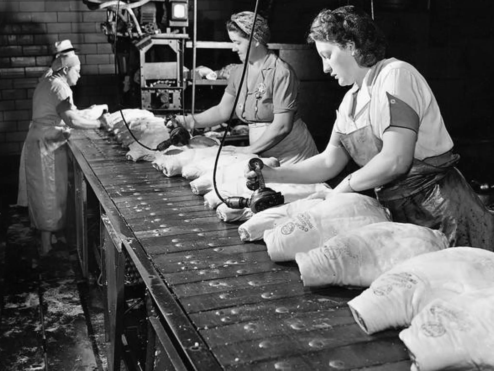 The Social Media Fallacy | PPT