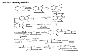 Learn Complete Topic -β-Lactam antibiotics(Penicillin) in Medicinal ...
