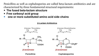 Learn Complete Topic -β-Lactam antibiotics(Penicillin) in Medicinal ...