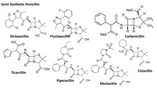 Learn Complete Topic -β-Lactam antibiotics(Penicillin) in Medicinal ...