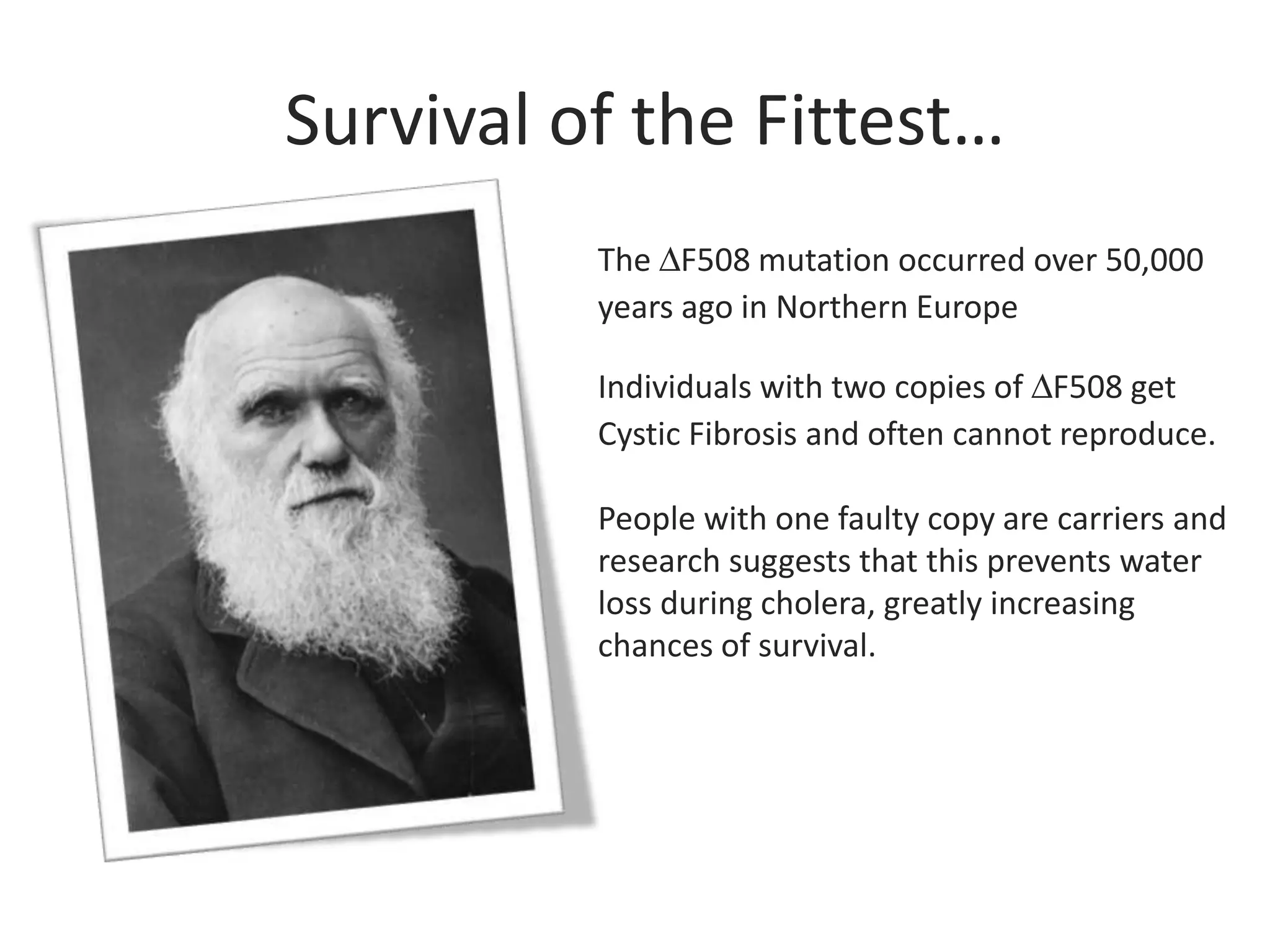 Bettakultcha | PPTX