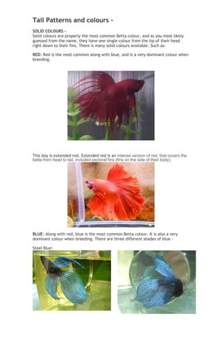 Betta Tail Types