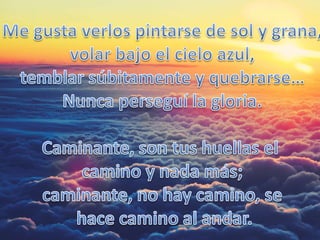 Caminante no hay camino