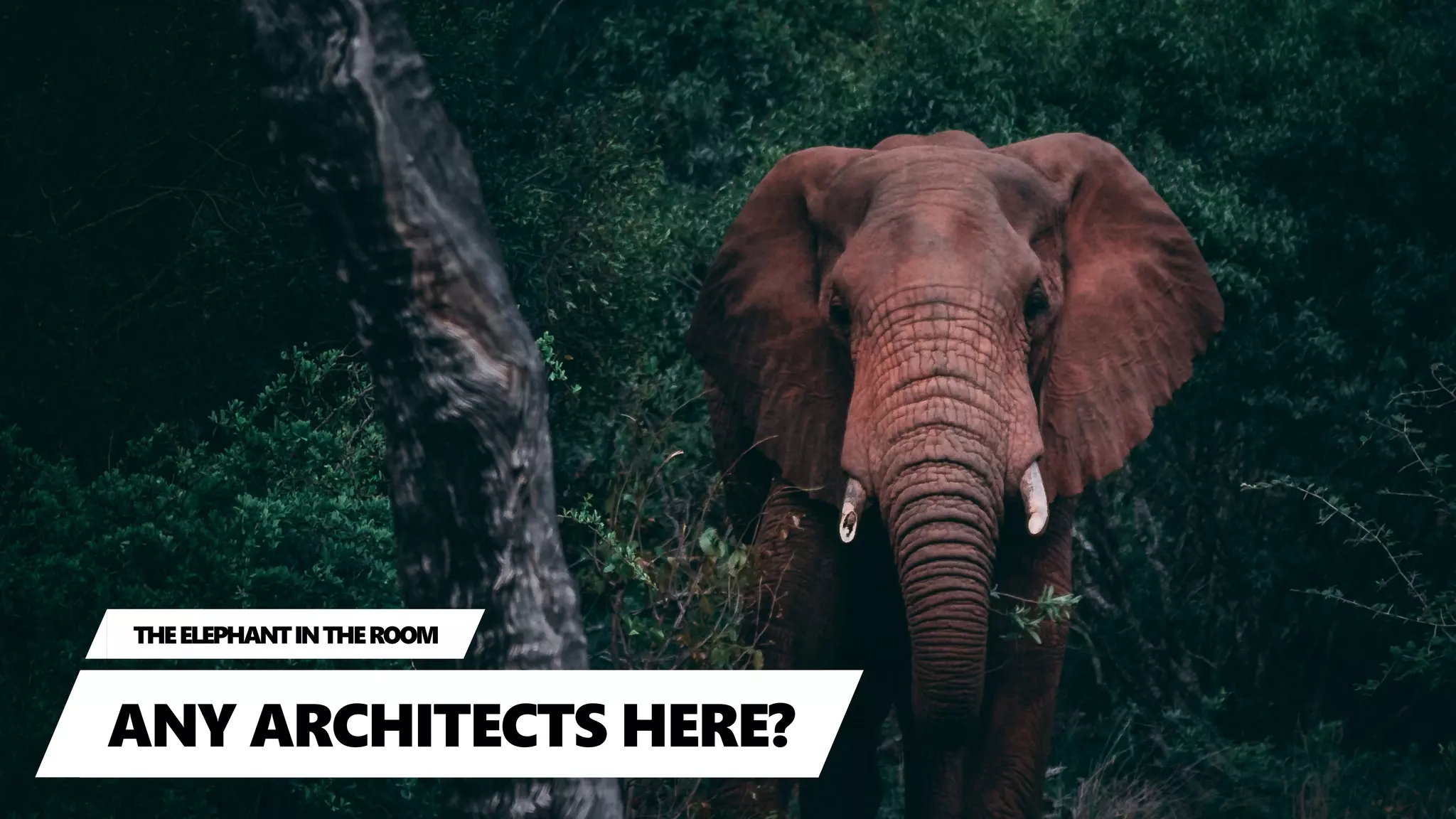 Better Architecture without Architects.pdf