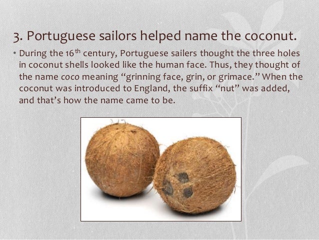 8 Fun Facts About Coconuts