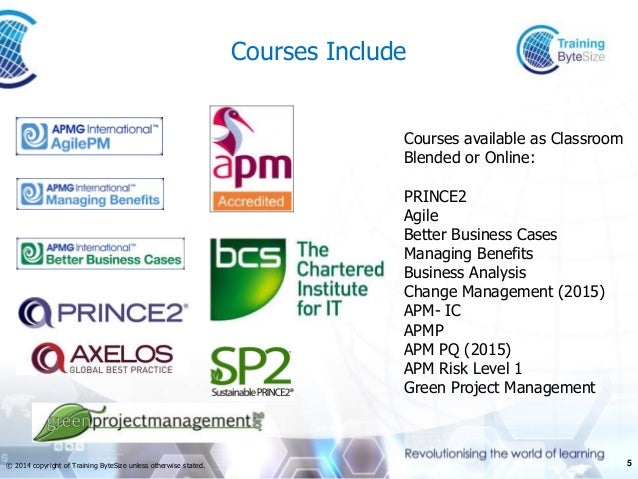 Better business cases overview presentation - 5 Case Model