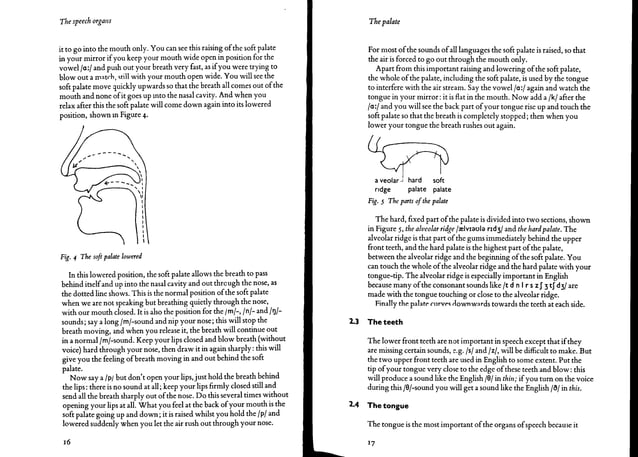 Better english pronunciation | PDF