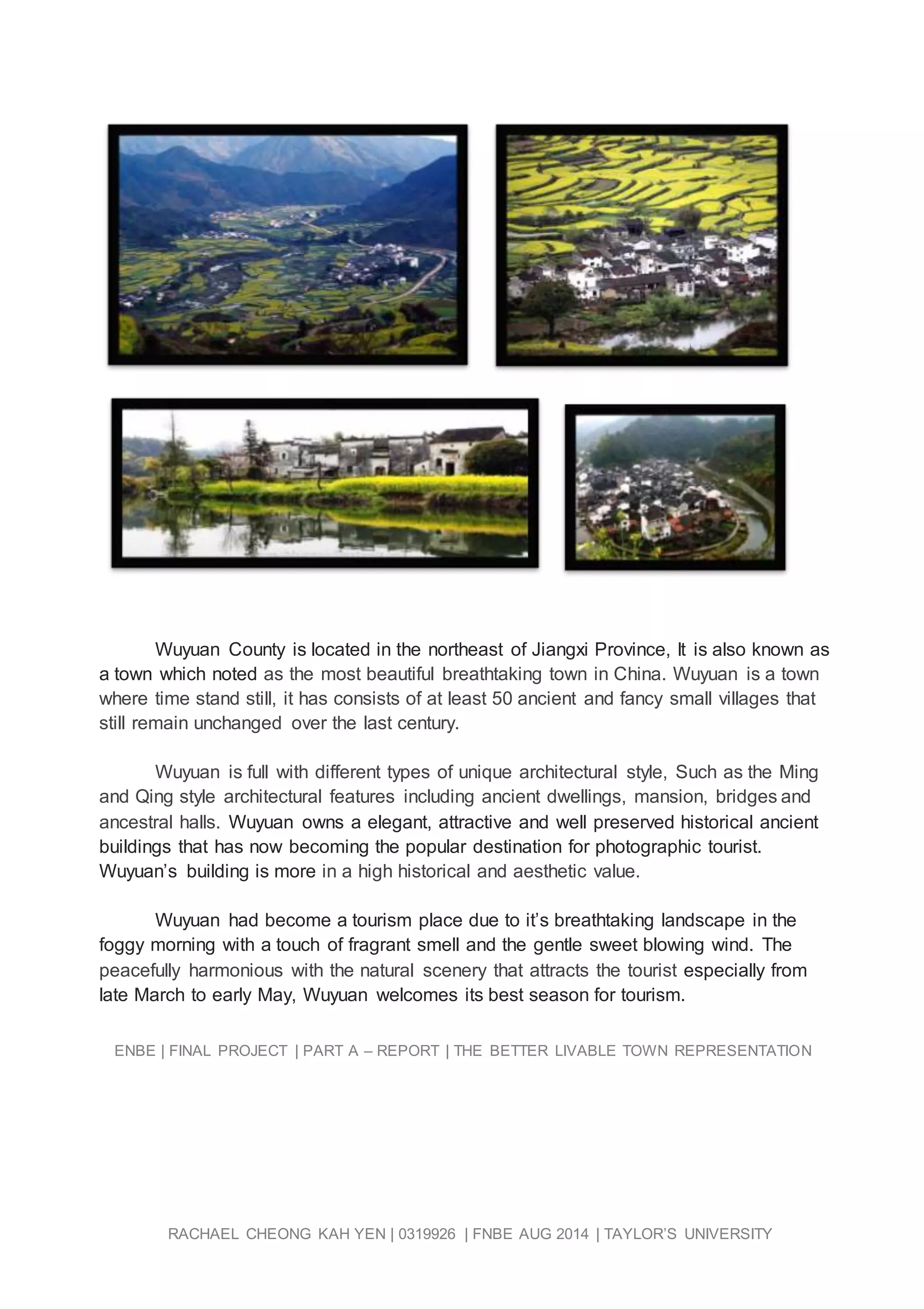 Better livable town | PDF