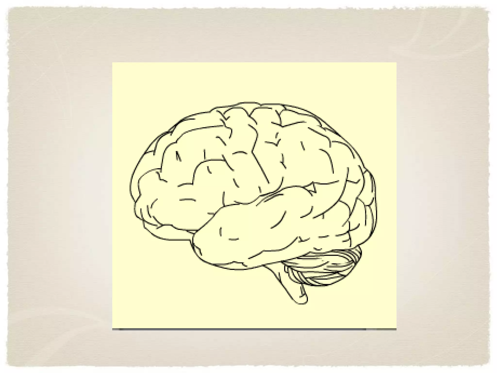 The Write Brain | PPTX
