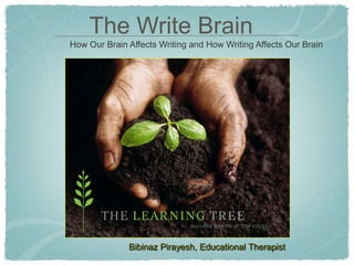 The Write Brain | PPTX