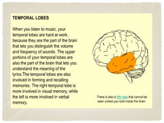 The Write Brain | PPTX
