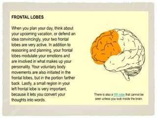 The Write Brain | PPTX