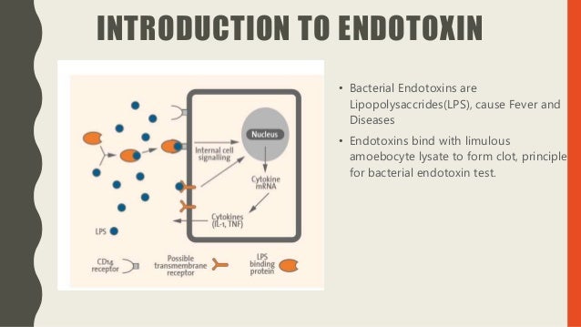 BET testing USP85 an Introduction