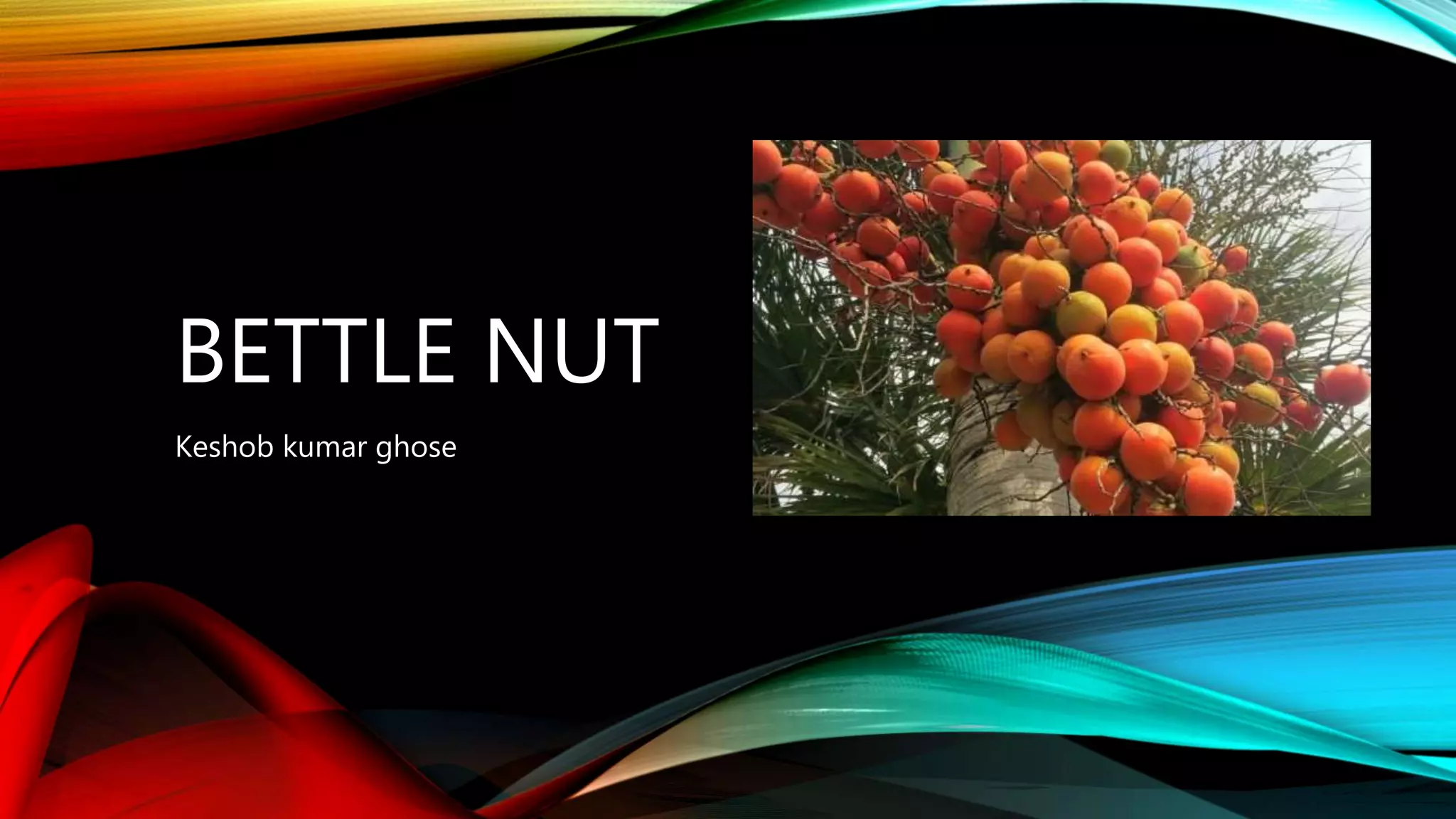Bettle nut | PPTX