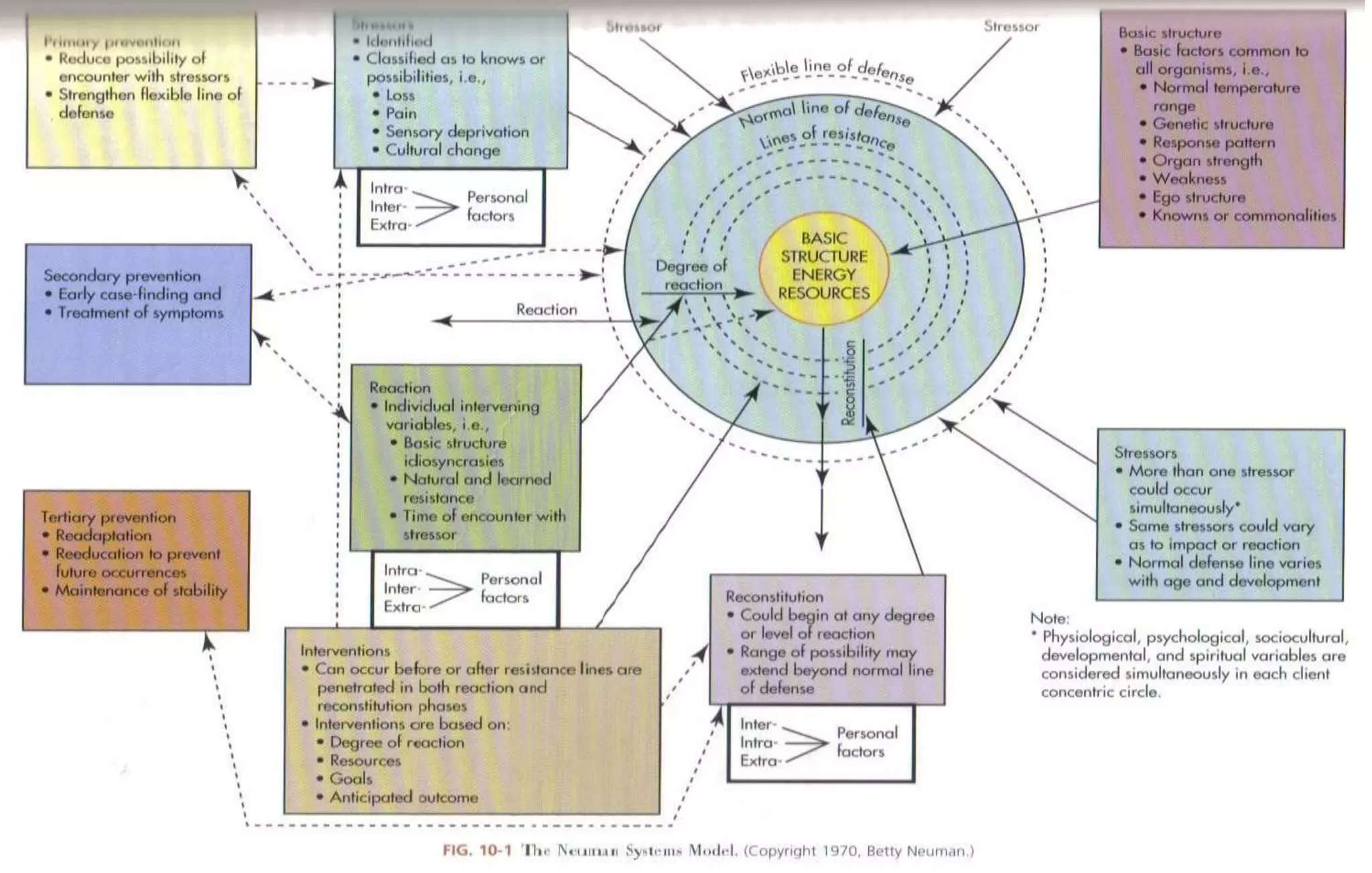 Betty neuman system theory | PPT | Medical Health