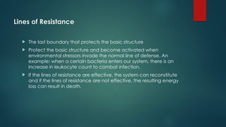 BETTY NEUMAN NURSING THEORY MODEL LECTURE | PPTX | Medical Health