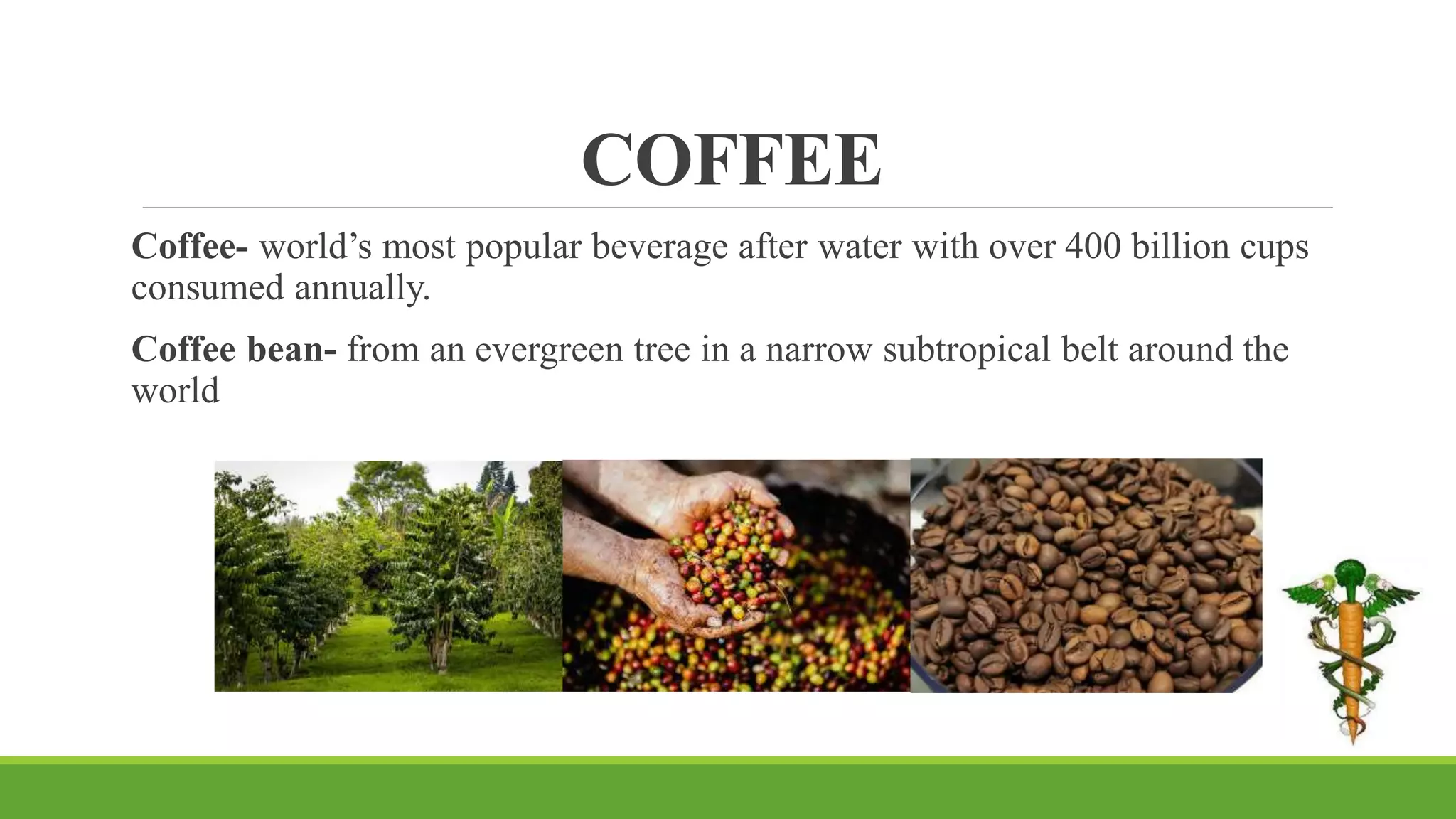 Beverages.pdf