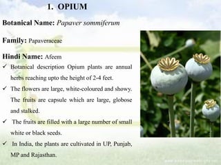 beverages-and-narcobsvsvsvsvvsvsvtics-edited.pdf