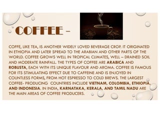 types of agriculture- Beverages Crops 8th std | PDF