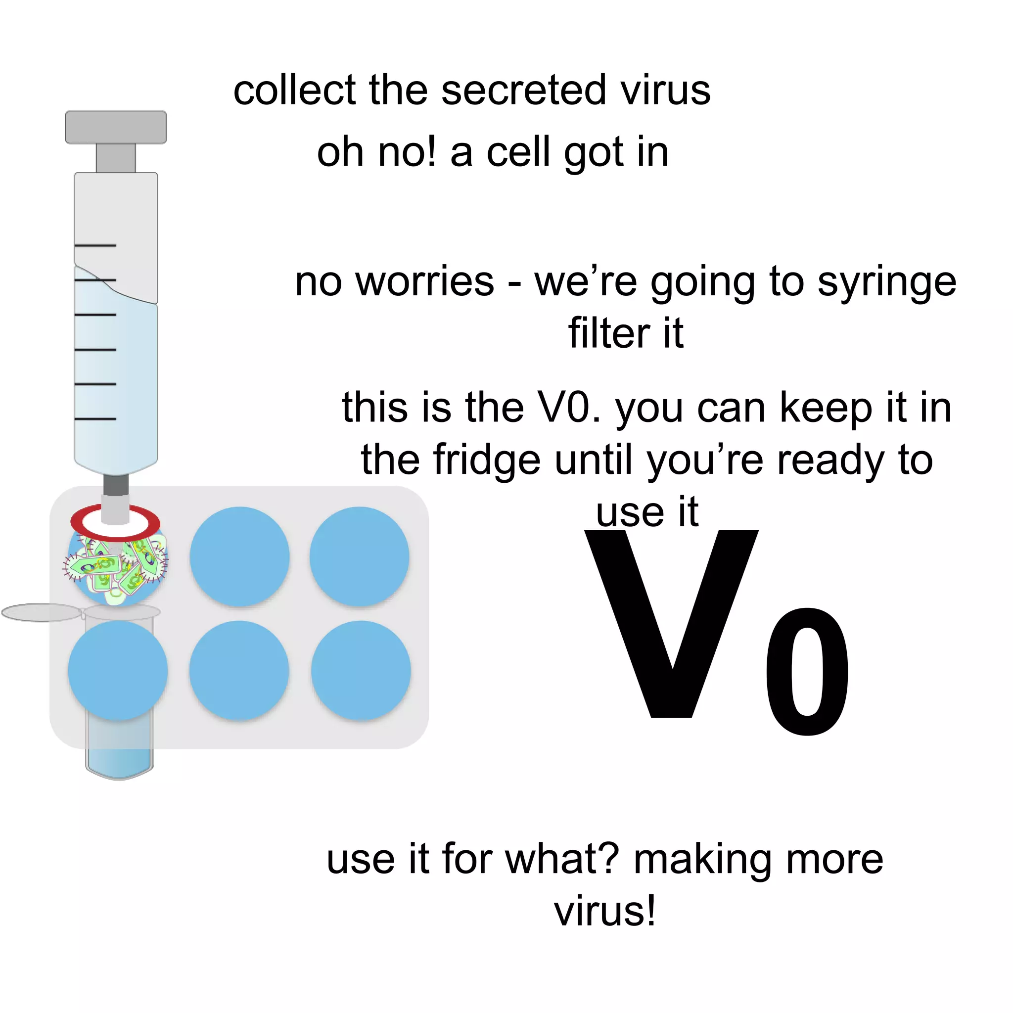 Baculovirus Expression Vector Systems | PPTX