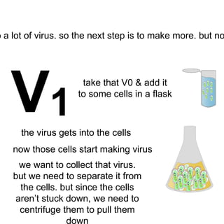 Baculovirus Expression Vector Systems | PPTX