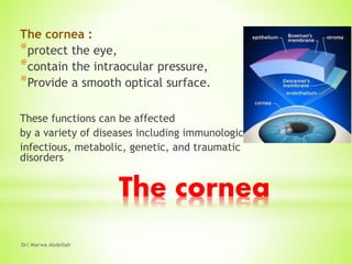 Beware of the monster; postlasik ectasia | PPTX