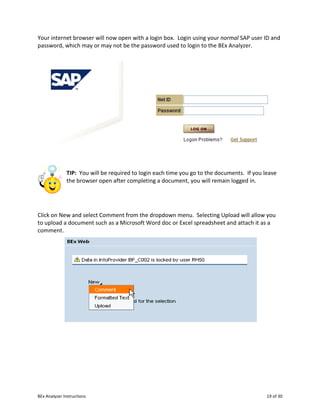 BEx 7. Analyzer Work Instructions | PDF