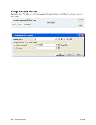 BEx 7. Analyzer Work Instructions | PDF
