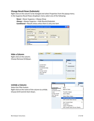 BEx 7. Analyzer Work Instructions | PDF