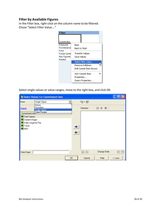 BEx 7. Analyzer Work Instructions | PDF
