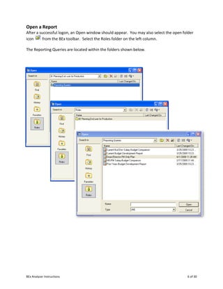 BEx 7. Analyzer Work Instructions | PDF