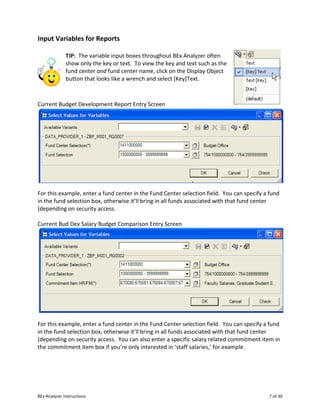BEx 7. Analyzer Work Instructions | PDF