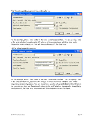 BEx 7. Analyzer Work Instructions | PDF