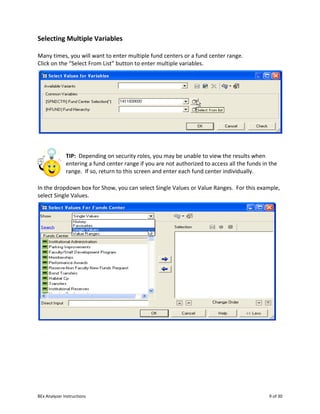 BEx 7. Analyzer Work Instructions | PDF