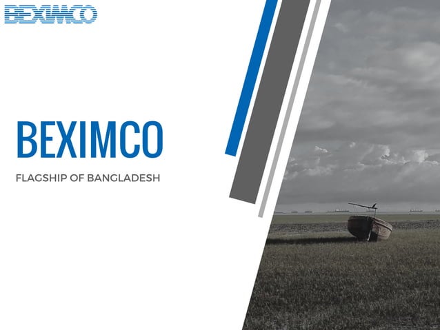 Beximco - Flagship of Bangladesh | PPT | Free Download