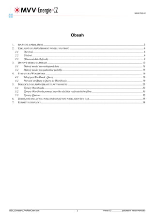 BEx Analyzer Manual (CZ) | PDF