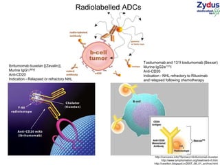 Beyond antibodies-final-31aut | PPTX | Genetics | Science