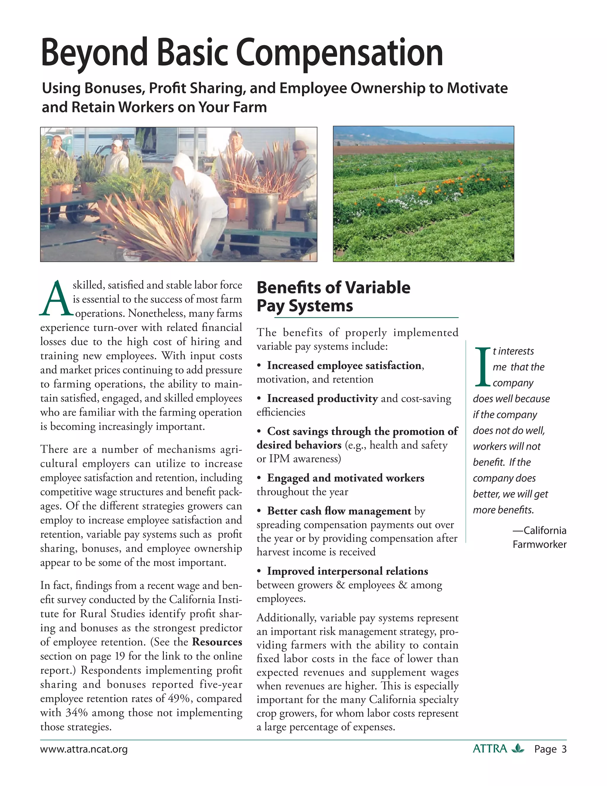 Beyond Basic Compensation | PDF