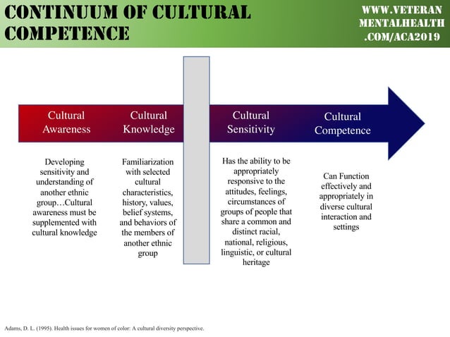 Beyond Basic Training: Ethical Considerations in Military Cultural Competence | PDF