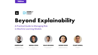 Beyond Explainability: A Practical Guide to Managing Risk in Machine Learning Models | PDF