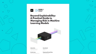 Beyond Explainability: A Practical Guide to Managing Risk in Machine Learning Models | PDF