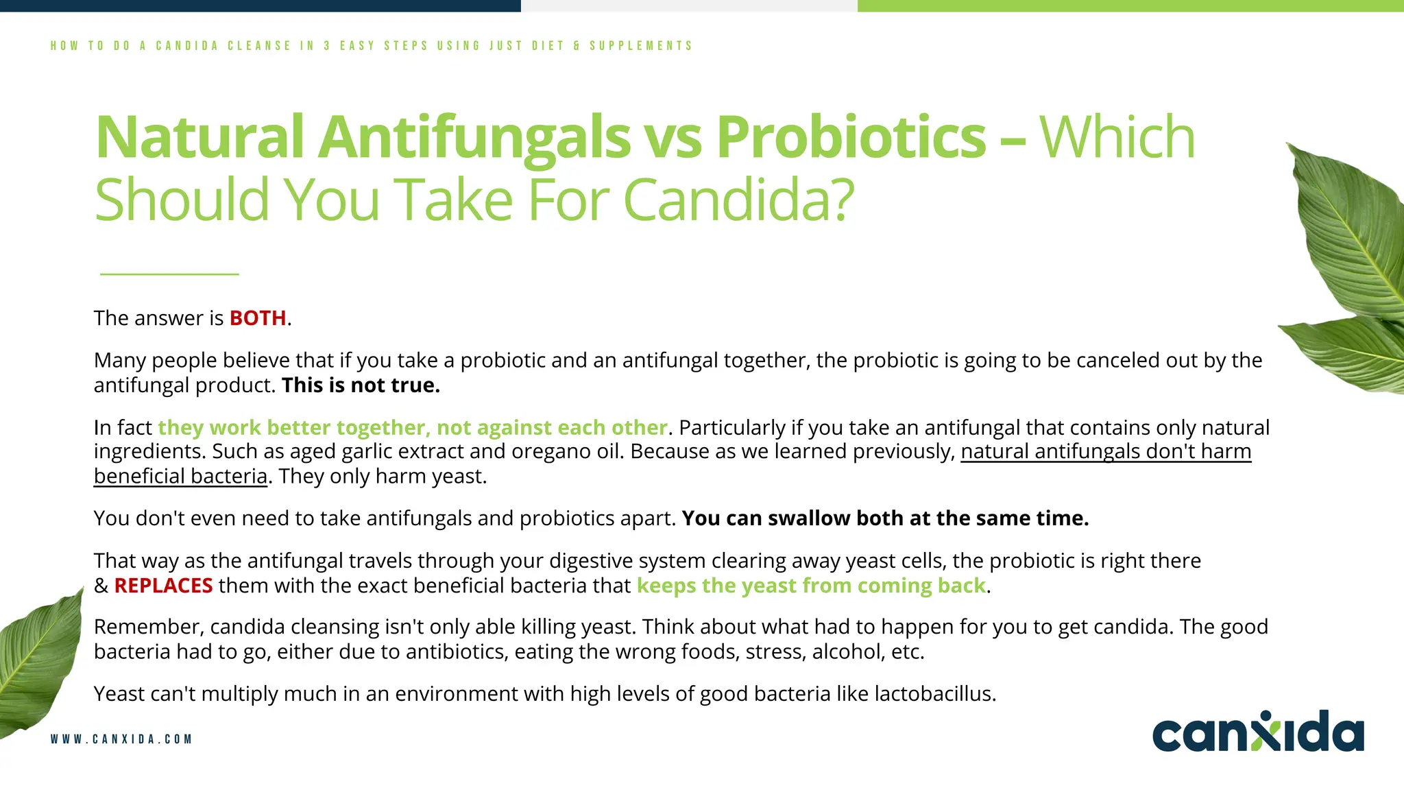 Beyond Killing Candida Building Gut Health for Lasting Results.pdf
