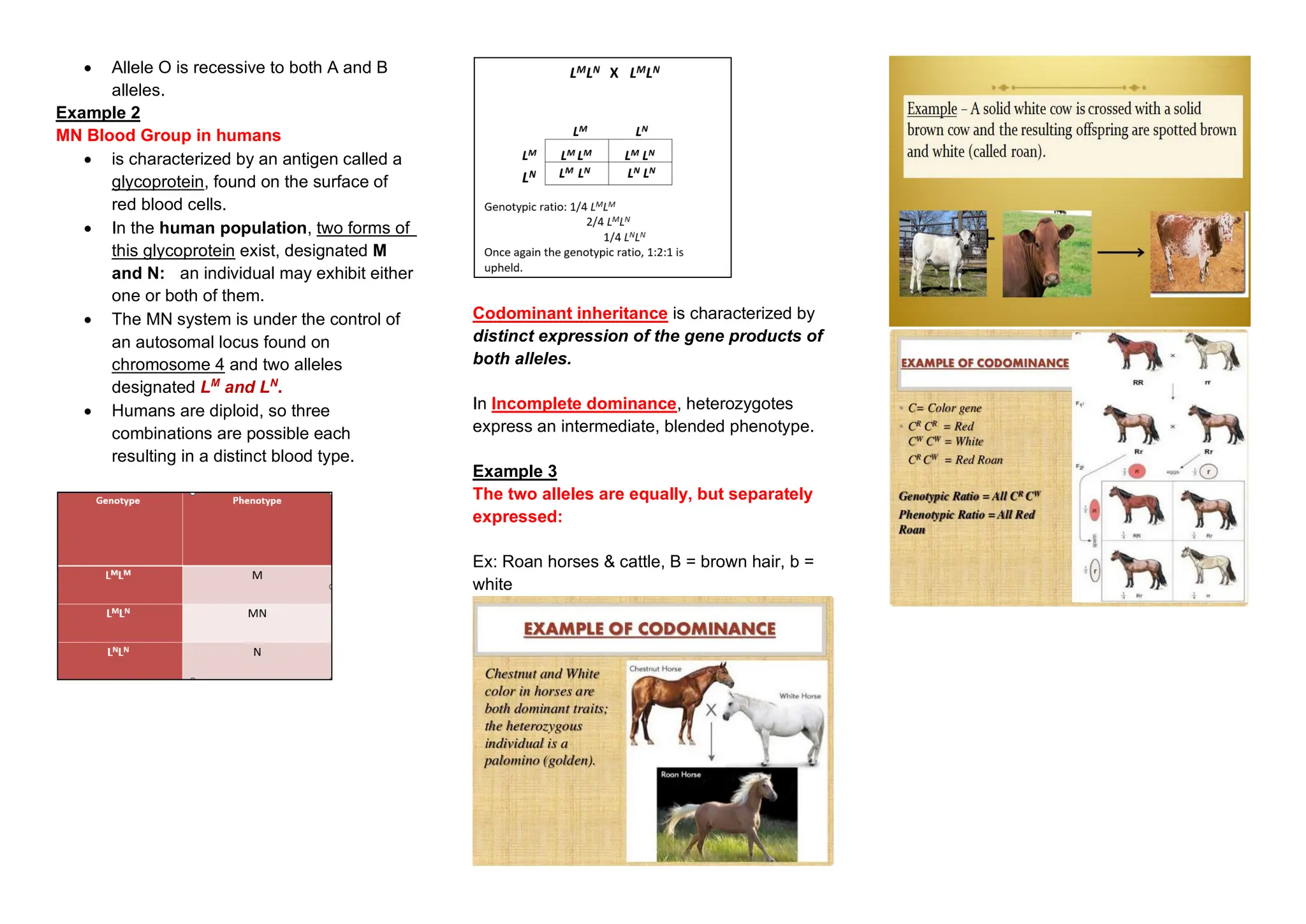 Beyond Mendel's laws of Inheritance.pdfa