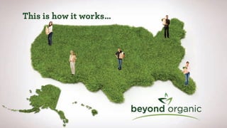 Beyond organic presentation | PDF