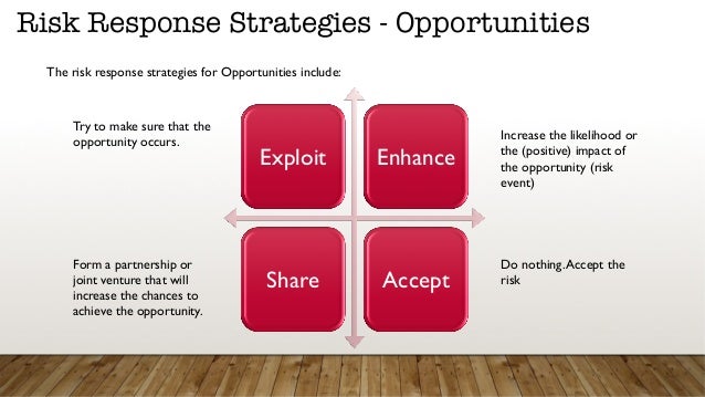 Beyond PMP: Risk Management