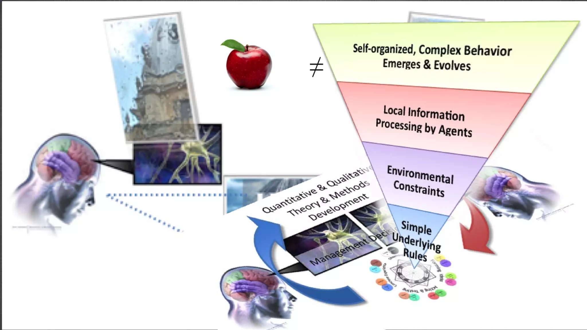 Basic Social Math - Beyond Statistics | PPT | Science