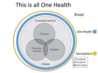 Beyond Three Circles - An Enhanced One Health Model Gary VROEGINDEWEY ...