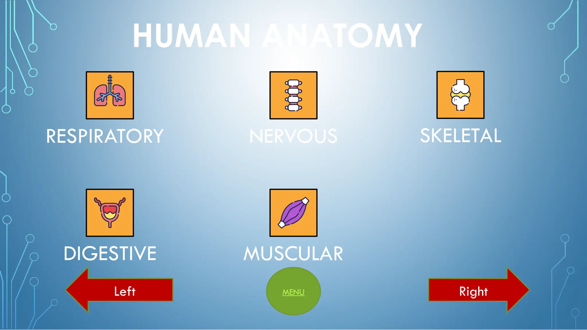 intoduction to human anatomy. science | PPT
