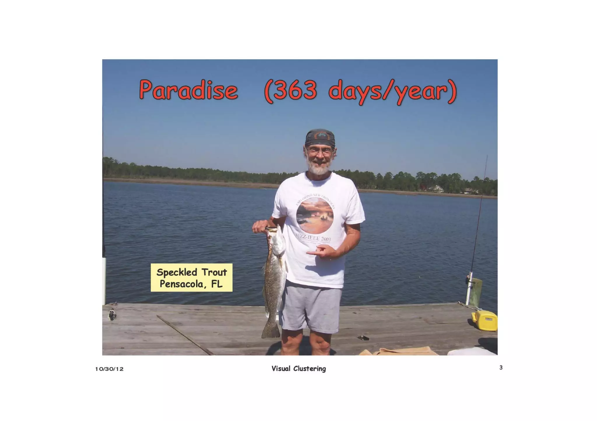 Prof. Jim Bezdek: Every Picture Tells a Story — Visual Cluster Analysis ...