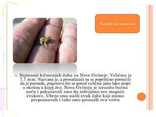 Bezrepi vodozemci | PPT